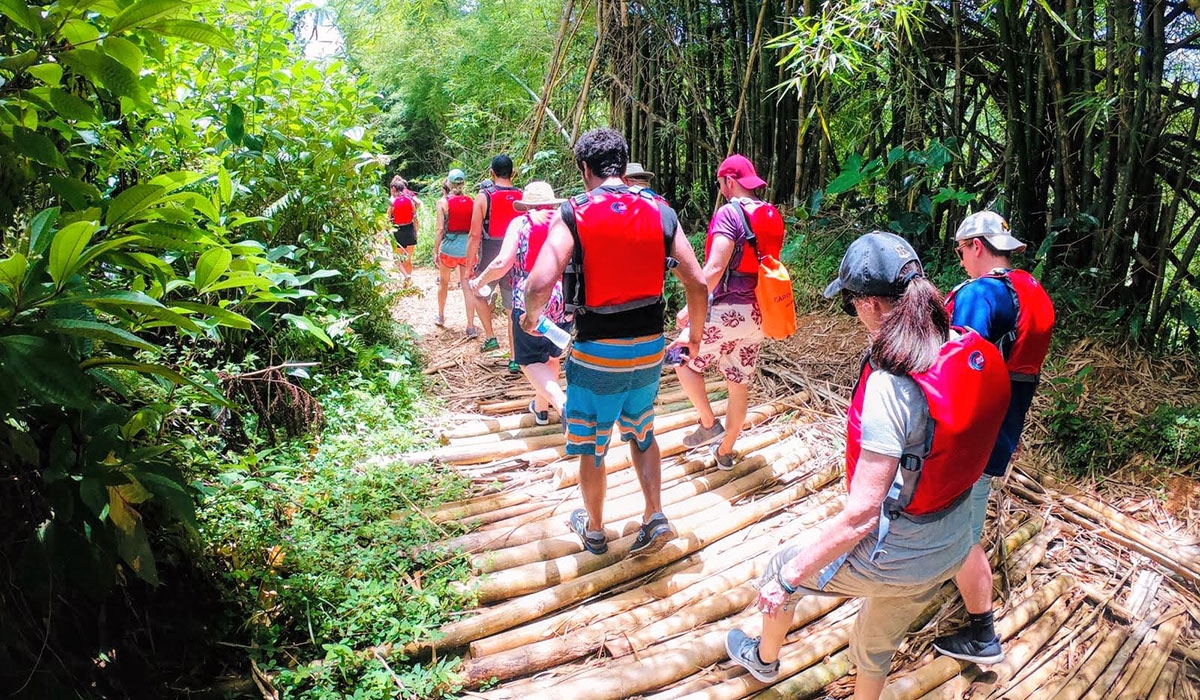 El Yunque Rainforest & Bio Bay Tour | Kayaking Puerto Rico